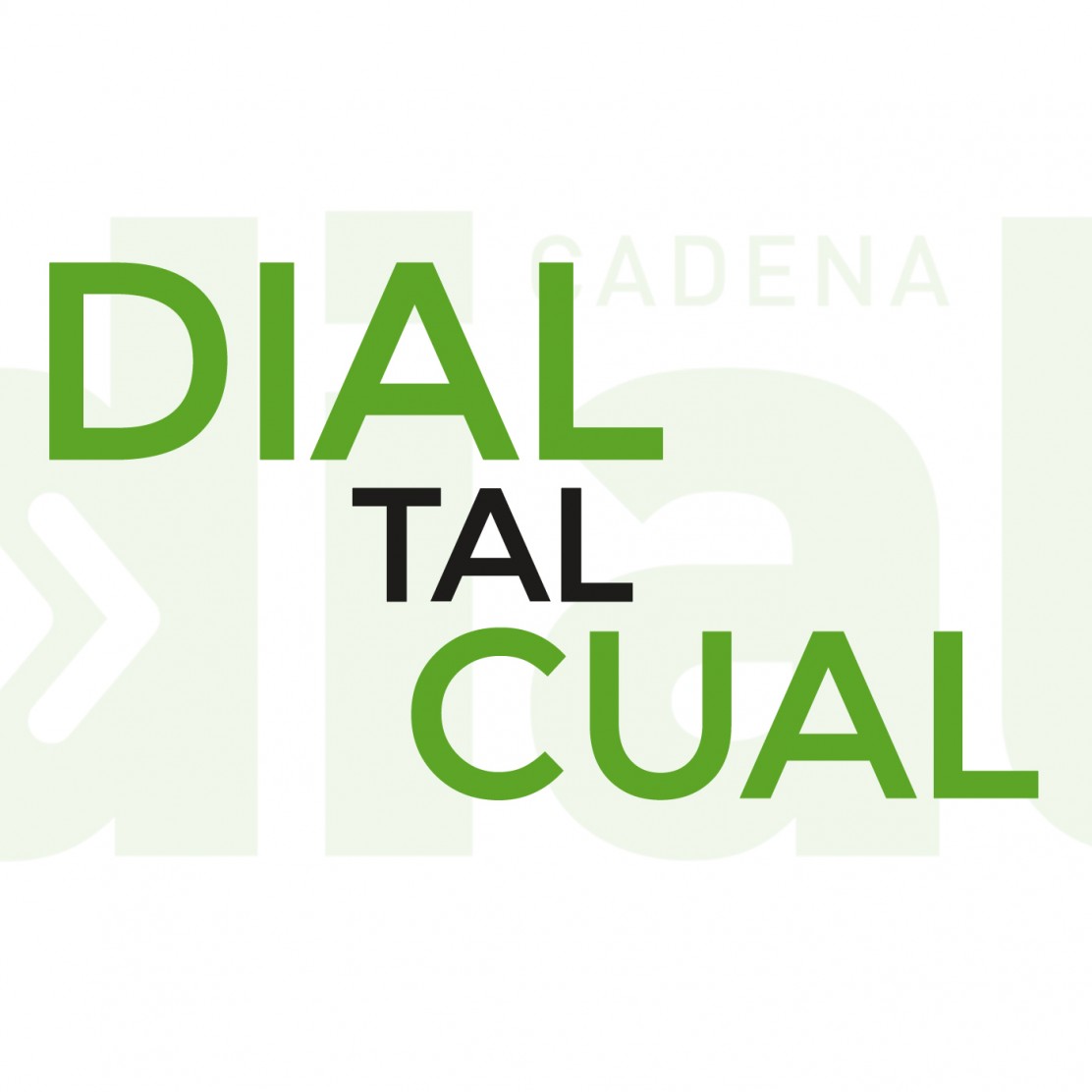 Dial Tal Cual despide la temporada con los mejores momentos - Cadena Dial