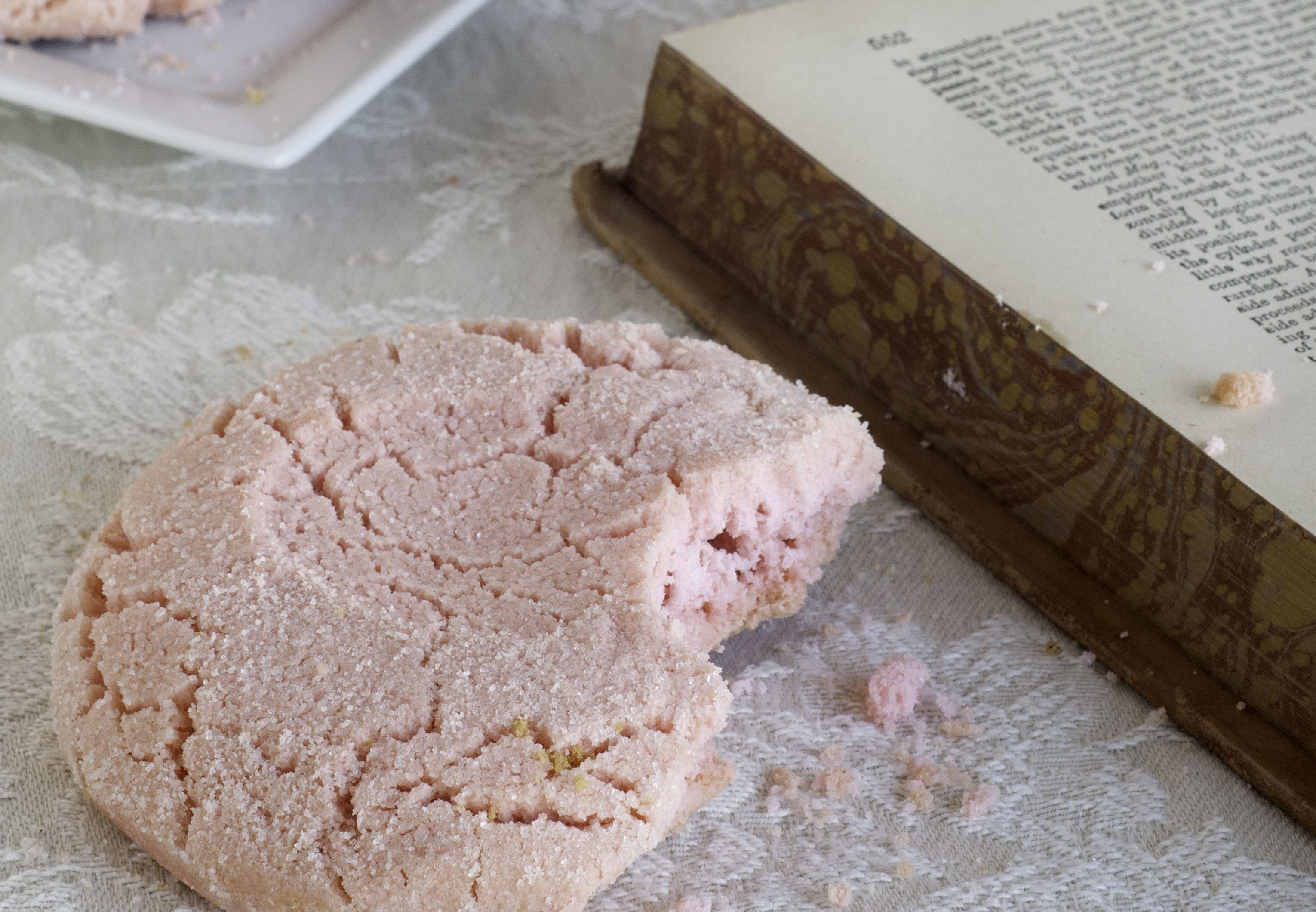 Descubren una galleta mordida dentro de un manuscrito de 500 años ...