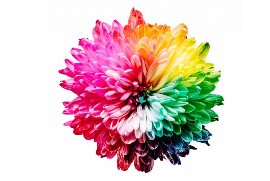 ¿Qué dice sobre ti tu color favorito? Te va a sorprender - Cadena Dial