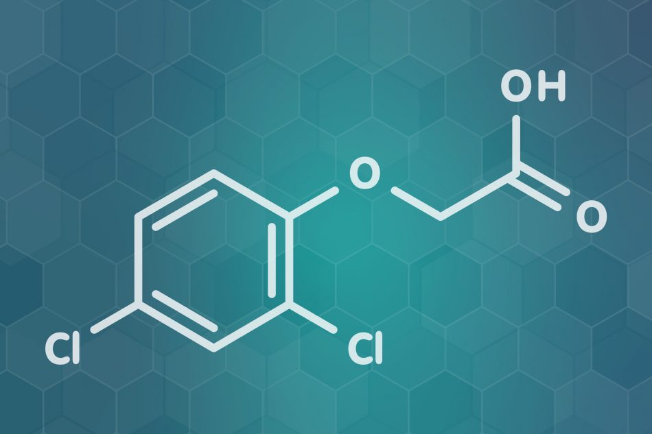 Dioxinas, así las ingerimos sin darnos cuenta: son muy peligrosas para ...