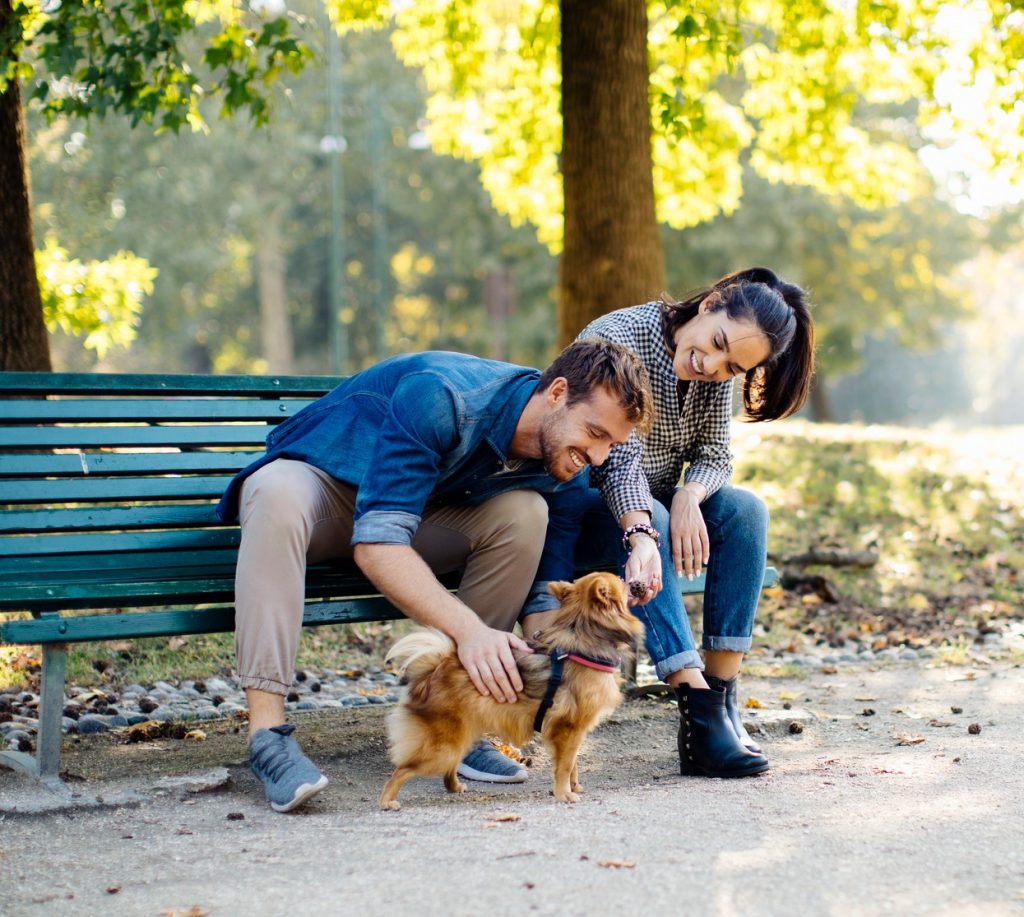 Si quieres convencer a tu pareja para tener un perro ¡con estas razas ...