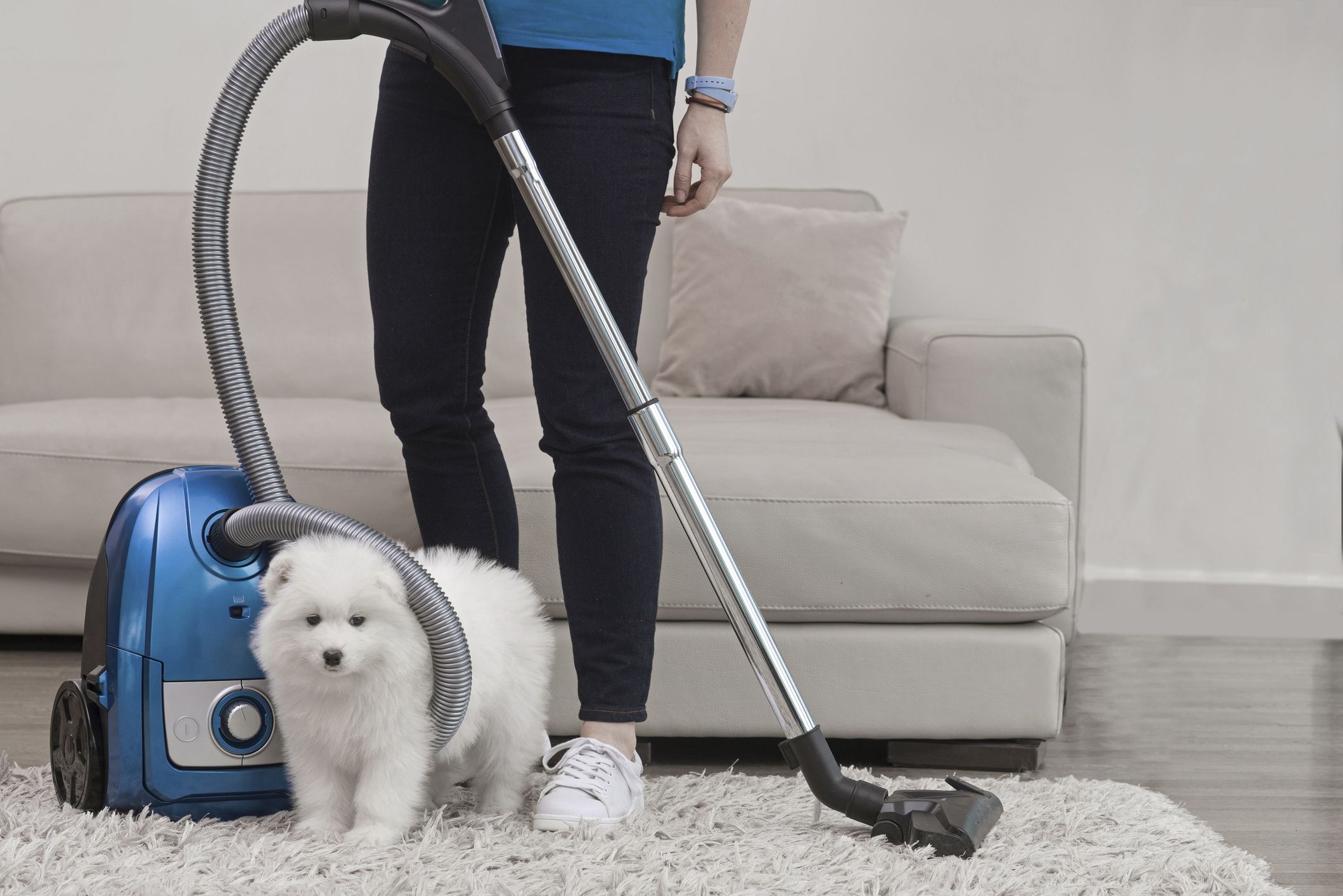 Mascotas, cómo limpiar tu casa a fondo si tienes una - Cadena Dial
