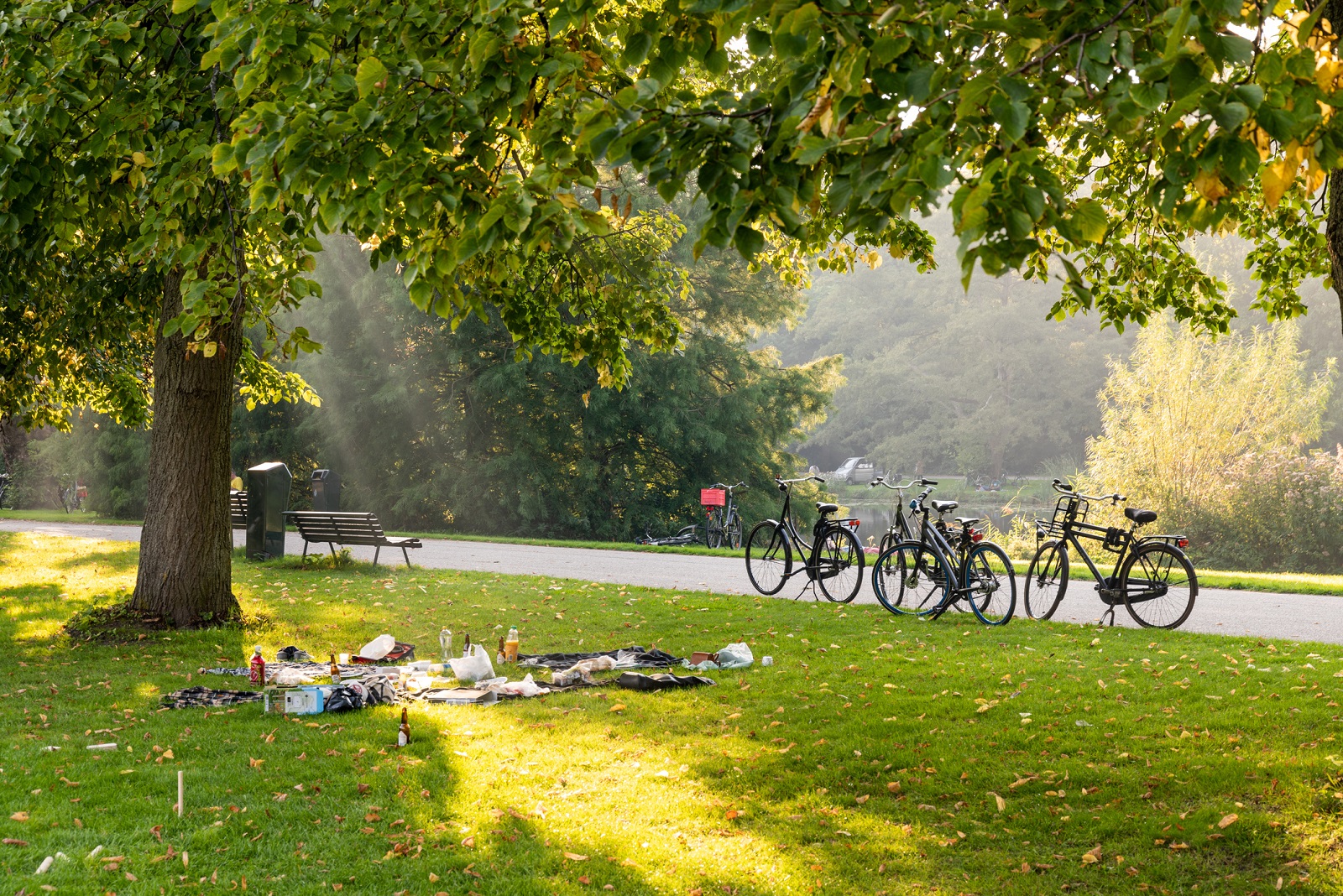 Picnic ¡la pandemia los ha puesto de moda! Te contamos todo lo ...