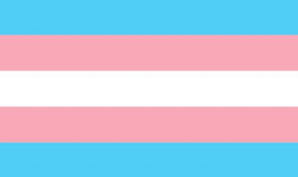 Orgullo 2021: ¿qué significan las banderas LGBTI+ y trans?