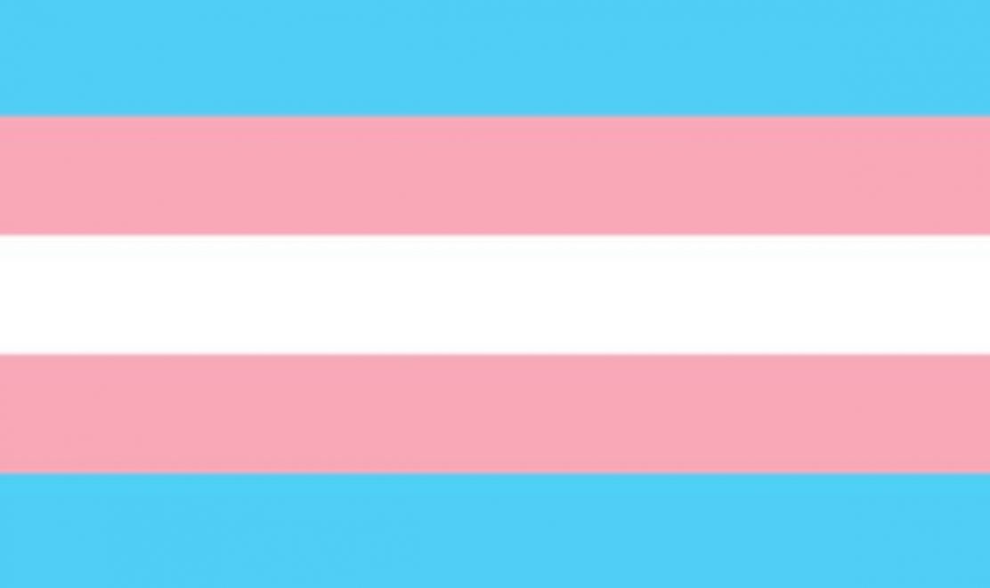 Orgullo 2021: ¿qué significan las banderas LGBTI+ y trans?