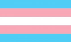 Orgullo 2021: ¿qué significan las banderas LGBTI+ y trans?