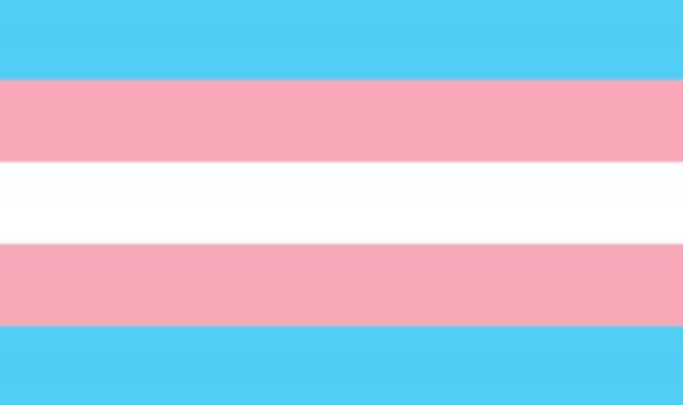 Orgullo 2021: ¿qué significan las banderas LGBTI+ y trans?