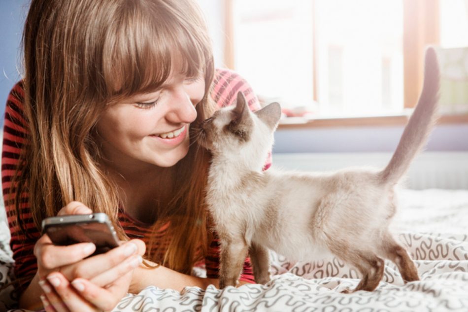¿Sabías que? Tu gato ronronea por un motivo que no es el que esperabas ...