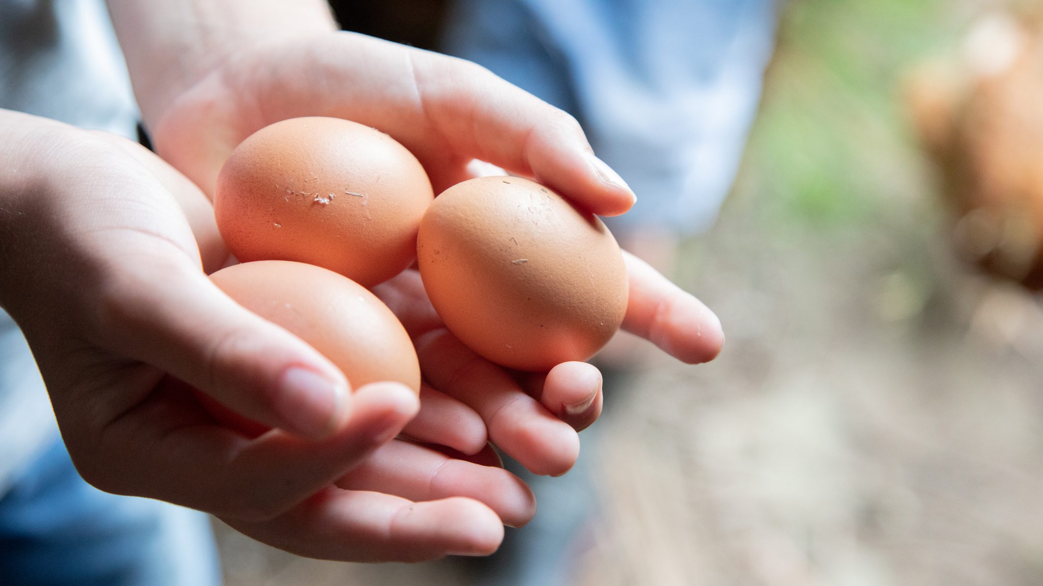 Olvídate ¡esta es la forma correcta de cocer un huevo! - Cadena Dial