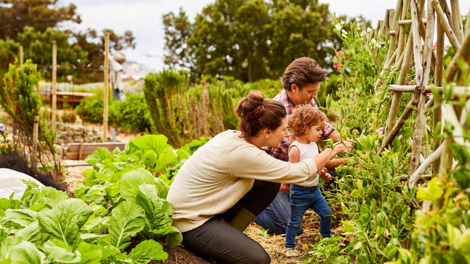 Los beneficios de plantar un mini huerto con tus niños - Cadena Dial