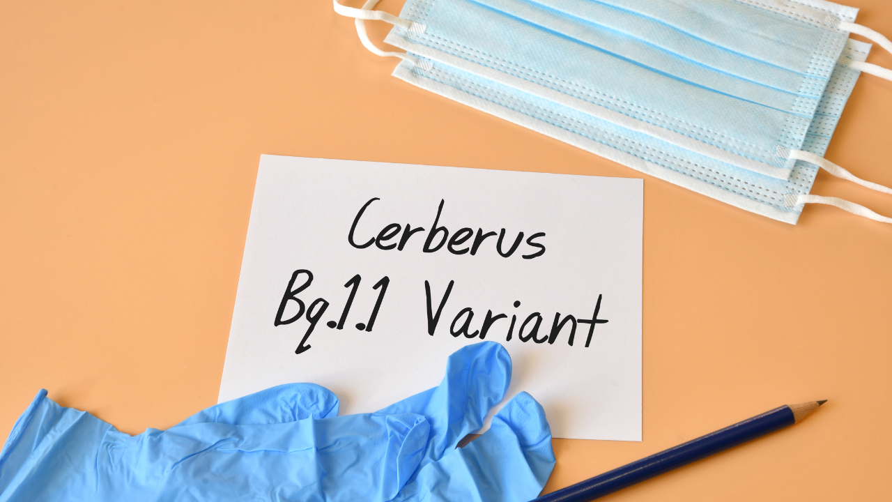 'Perro del infierno': ¿por qué se llama así a la nueva variante de la ...