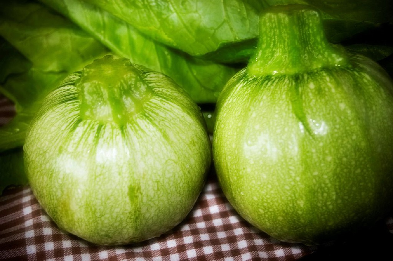 El zucchiolo, una hortaliza con nombre italiano a medio camino entre el ...