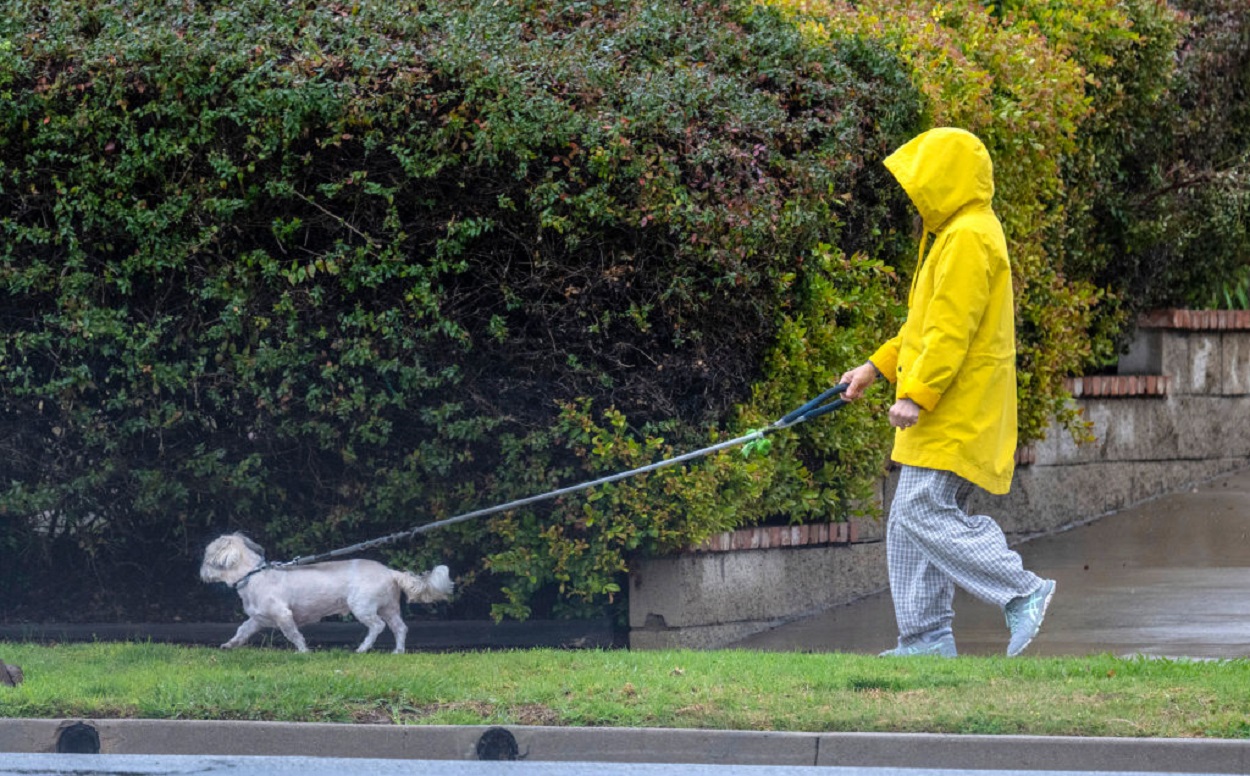 Esta es la mejor forma de sacar a tu perro cuando llueve - Cadena Dial