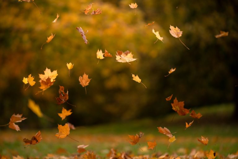 ¿Qué tiempo hará durante este otoño? La AEMET da unas primeras ...